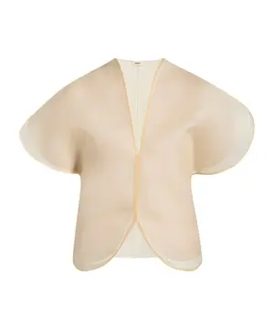 Khaite Briar Silk Organza Top - Champagne