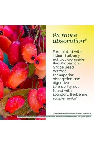 MEGAFOOD Berberine Phytosome, 550 Mg Per Serving, Vegan