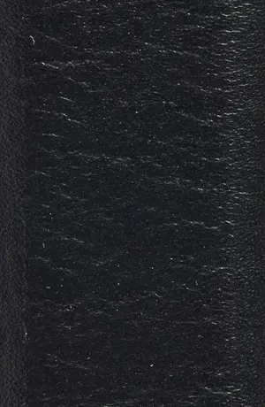Nordstrom Angelique Leather Belt - Black- Silver