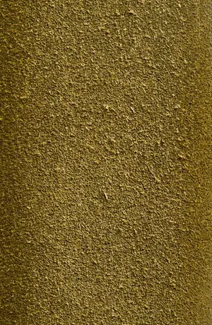Nordstrom Suede Belt With Gold Tone Buckle - Olive- Silver