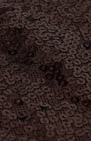 Scotch & Soda Sequins Maxi Skirt