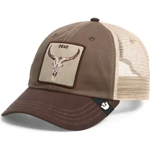 GOORIN BROS Dead Skull Baseball Cap - Ground