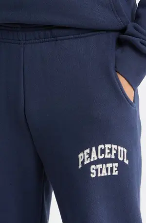 MUSEUM OF PEACE & QUIET Peaceful Cotton Fleece Sweatpants - Navy
