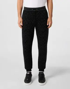 Philipp Plein Wool Cashmere Joggers Cocco - Black