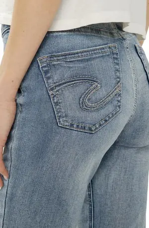 SILVER JEANS CO. Avery Curvy Classic Straight Leg Jeans