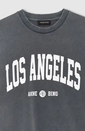 ANINE BING Cade Los Angeles University Tee - Washed Grey