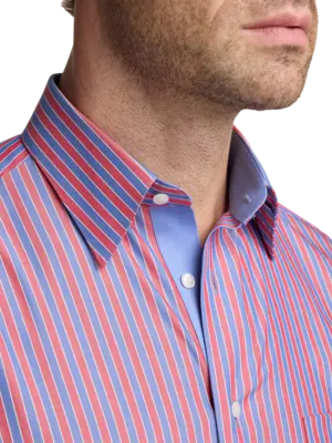 PAUL FREDRICK Cotton Point Collar Poplin Slim Contrast Trim Button Cuff Long Sleeve - Blue/red