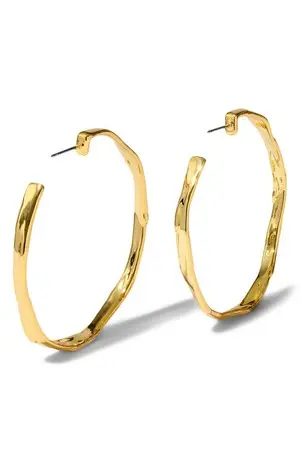 Alexis Bittar Brut Skinny Hoop Earrings