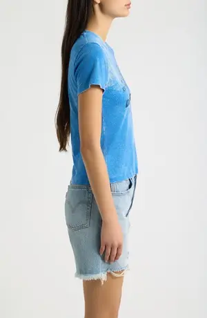 Daydreamer Doe Lodge Graphic Burnout Tee