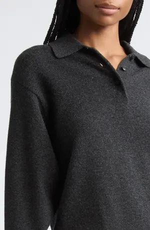 Alexander Wang Wool Blend Long Sleeve Polo Dress