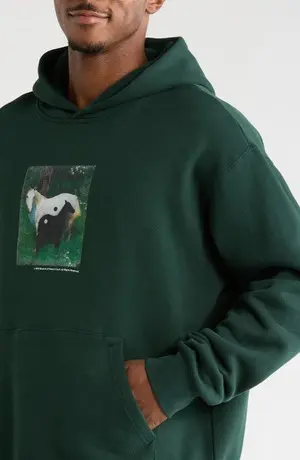 MUSEUM OF PEACE & QUIET Pasture Graphic Hoodie