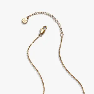 ALEX AND ANI Caramel Apple Dip Slider Necklace