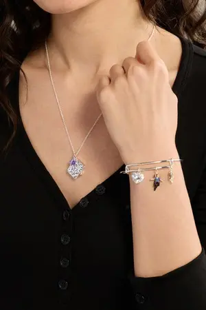 ALEX AND ANI The Twilight Saga Bella & Edward Charm Bangle