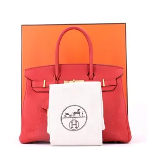 Hermès Birkin Handbag Togo With Gold Hardware 30