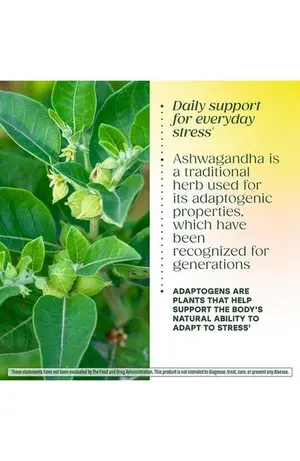 MEGAFOOD Ashwagandha Complex, Cortisol Supplement, Vegetarian, Gluten Free