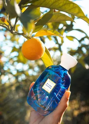 ATELIER DES ORS Riviera Sunrise Eau De Parfum