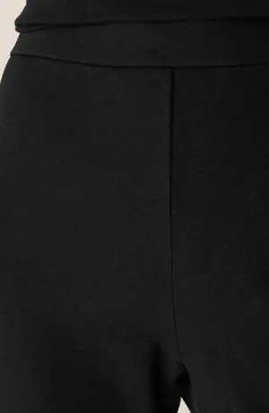 Eileen Fisher Kick Pants
