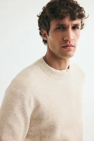 H&M Regular Fit Brushed Wool Blend Sweater - Light Beige Melange