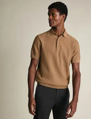 CHARLES TYRWHITT Stripe Texture Short Sleeve Knitted Cotton Polo - Camel