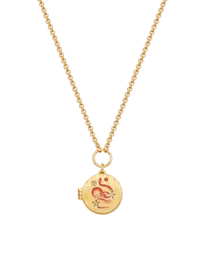 FABLE ENGLAND Snake & Blossom Locket Necklace