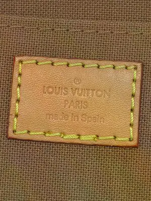 LOUIS VUITTON 2020 Monogram Petit Sac Plat Satchel