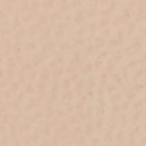 CHRISTIAN LOUBOUTIN Miss Z Lace Sling 100 Lace Slingbacks - Nude