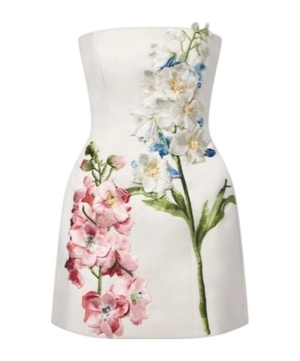 LEO Floral-appliqué Bustier Dress - White