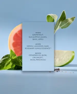 MICHAEL MALUL Sea And Zephyr Eau De Parfum