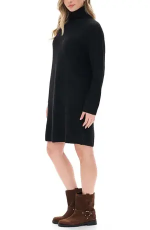 HATLEY Iris Long Sleeve Turtleneck Sweater Dress
