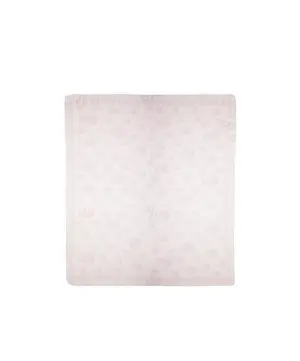 Alexander McQueen Printed Scarf