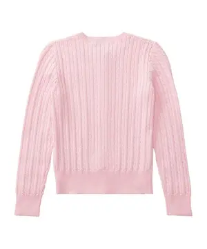 Polo Ralph Lauren Solid Color Knit Sweater