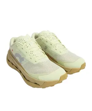 On Laceup Sneakers