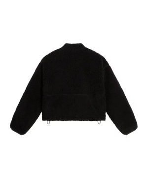 The North Face Standcollar Zipup Fleece Jacket