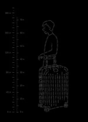 RIMOWA Checkedin Luggage