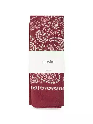 Destin Judy Bandana-print Scarf
