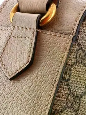 Gucci Ophidia Gg Coated Canvas Camera Bag - Neutrals