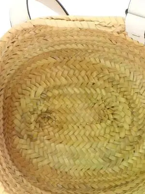 Loewe Raffia Small Tote Bag - White