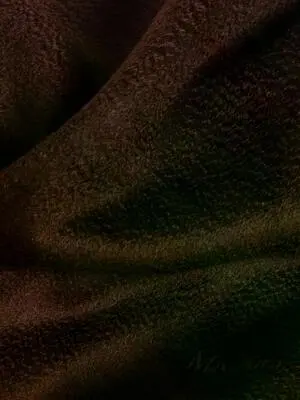 Max Mara Baci Fringed Cashmere Scarf