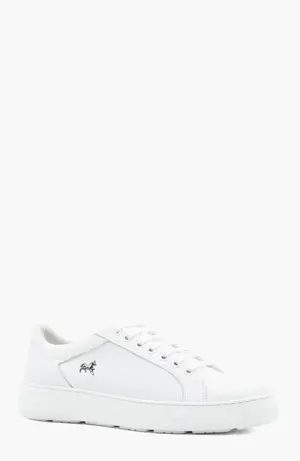 CAVALINHO Authentic Leather Low-top Sneakers
