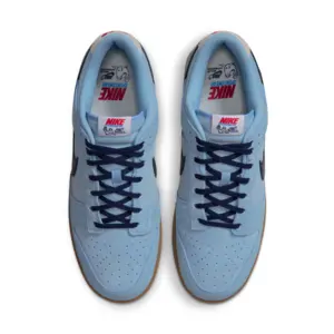 Nike Dunk Low Retro Sneakers