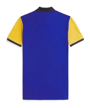 Polo Ralph Lauren Colorblock Polo Dress