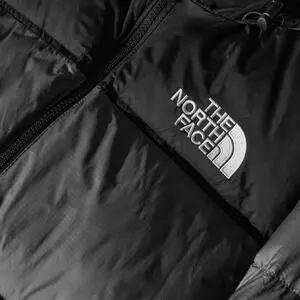 The North Face Warm Windandwaterresistant Jacket
