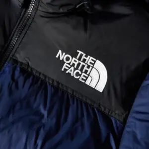 The North Face Retro Nuptse Water Resistant Goose Down Short Puffer Jacket