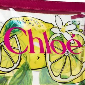Chloé Minimalist Small Bag