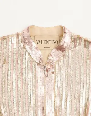 Valentino Garavani Embroidered Chiffon Dress