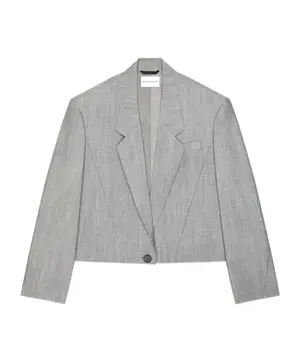 Givenchy Single-breasted Cropped Jacket In Wool And Mohair - Gray