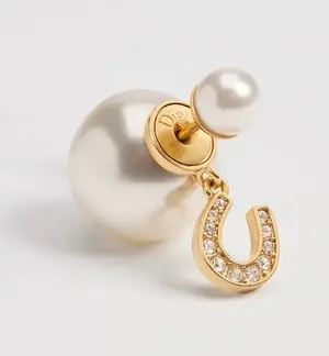Dior Lucky Diordior Tribales Earrings