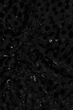 Isabel Marant Étoile Sequin Embellished Dress