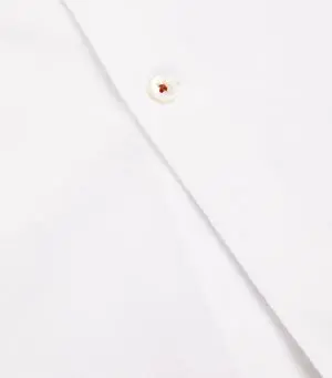 Loro Piana Collared Long-sleeved Shirt