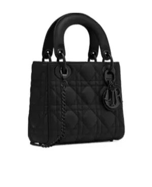 Dior Mini Lady Bag